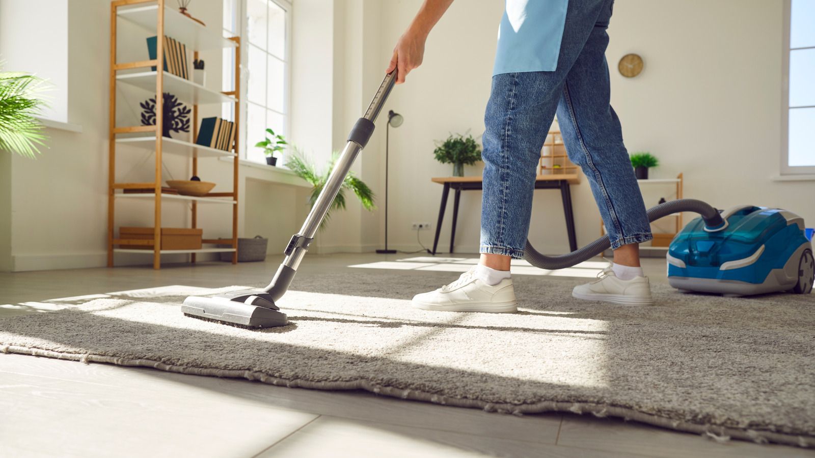 Cleaning Tips To Remove Head Lice From Your Home (And What Not To Do!)