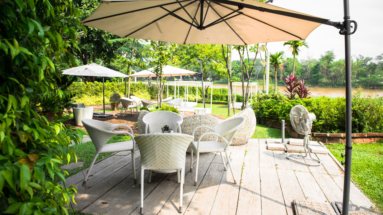 Cold-Tolerant Tropical Plants That Will Bring A Touch Of Summer To Your ...