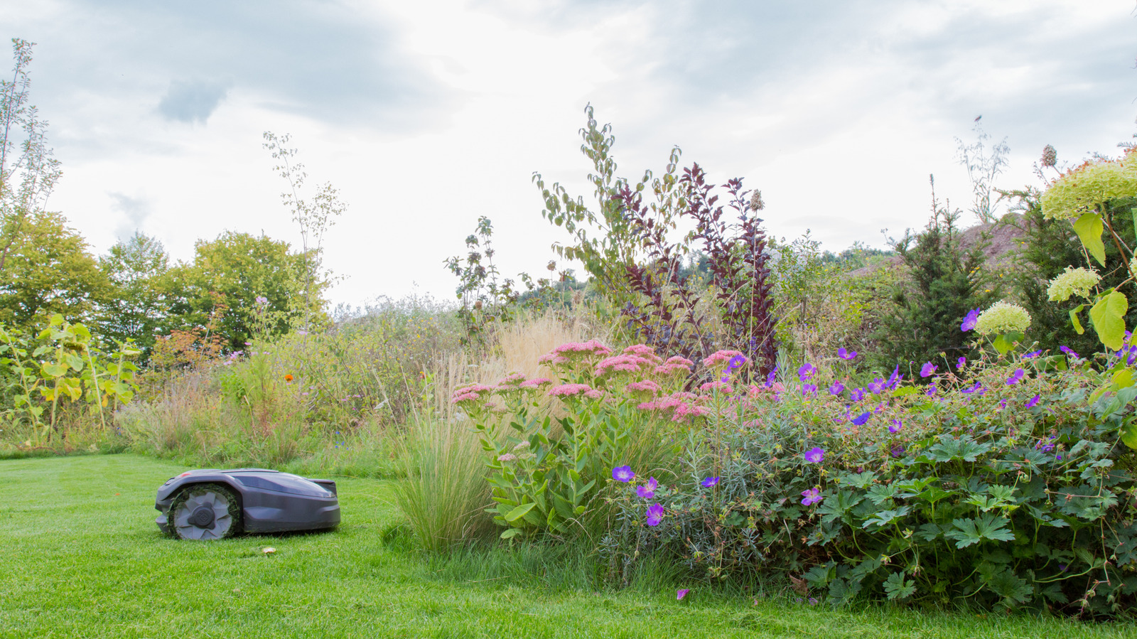 Consumer Reports Names The Best Robotic Lawn Mower For Small Yards In 2026