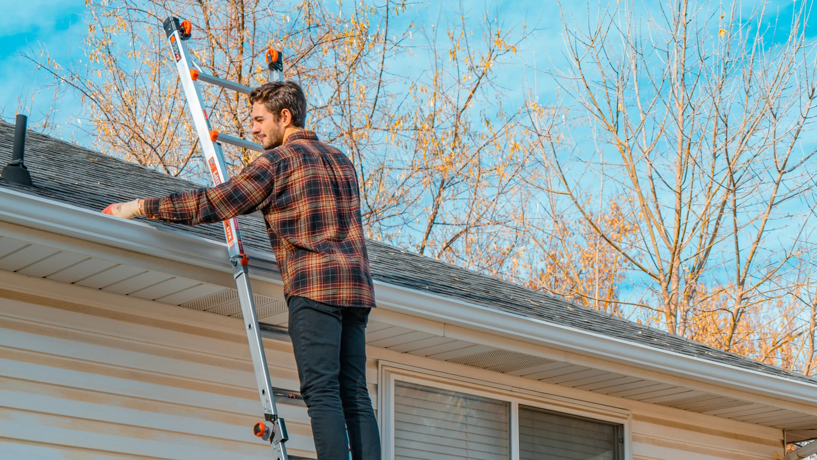 Costco's Best-Selling Home And Garden Tools (& If They're Worth Buying)