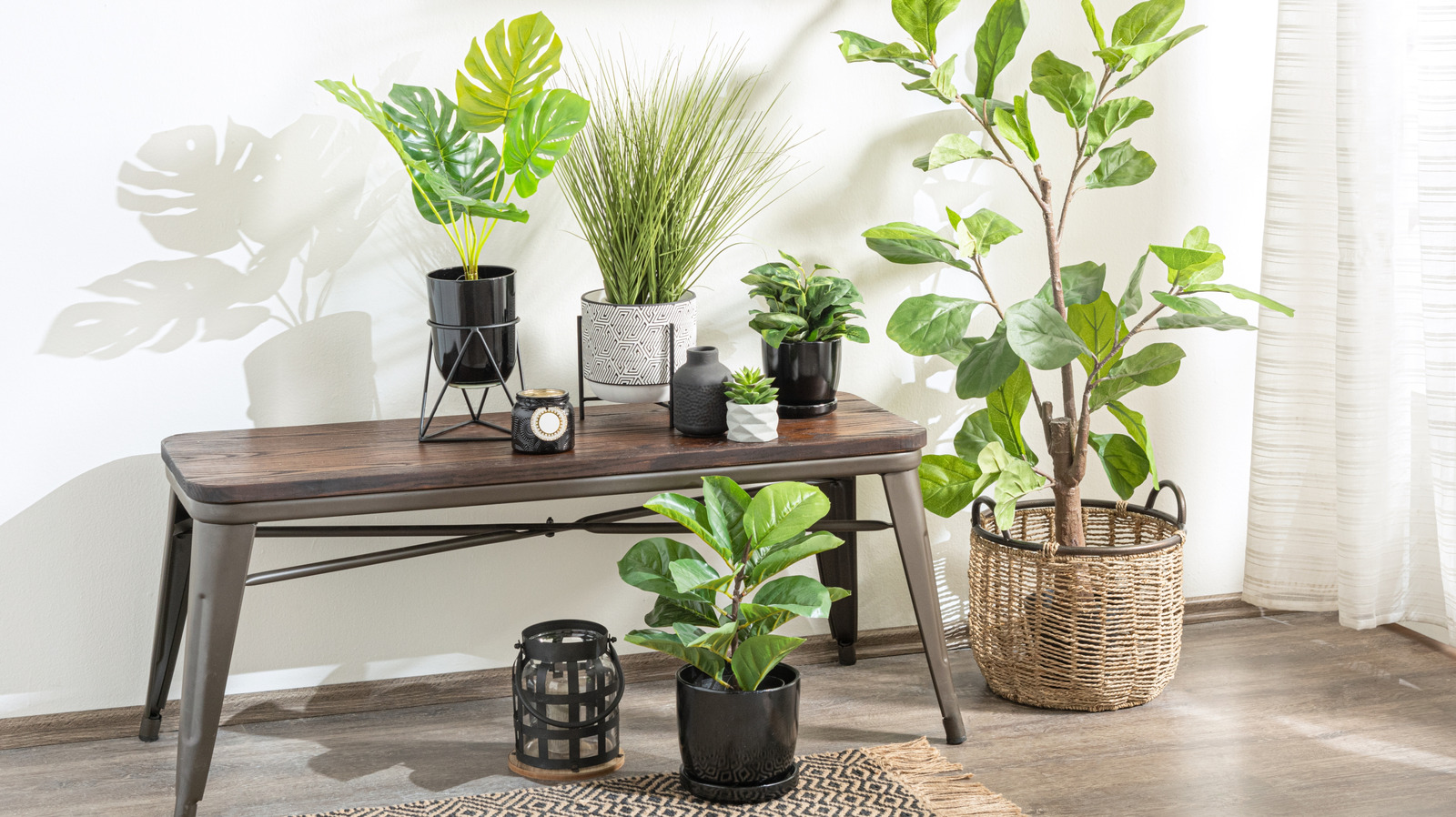 Costco's Trendy Planters Are Going Viral, But There's A Catch You ...