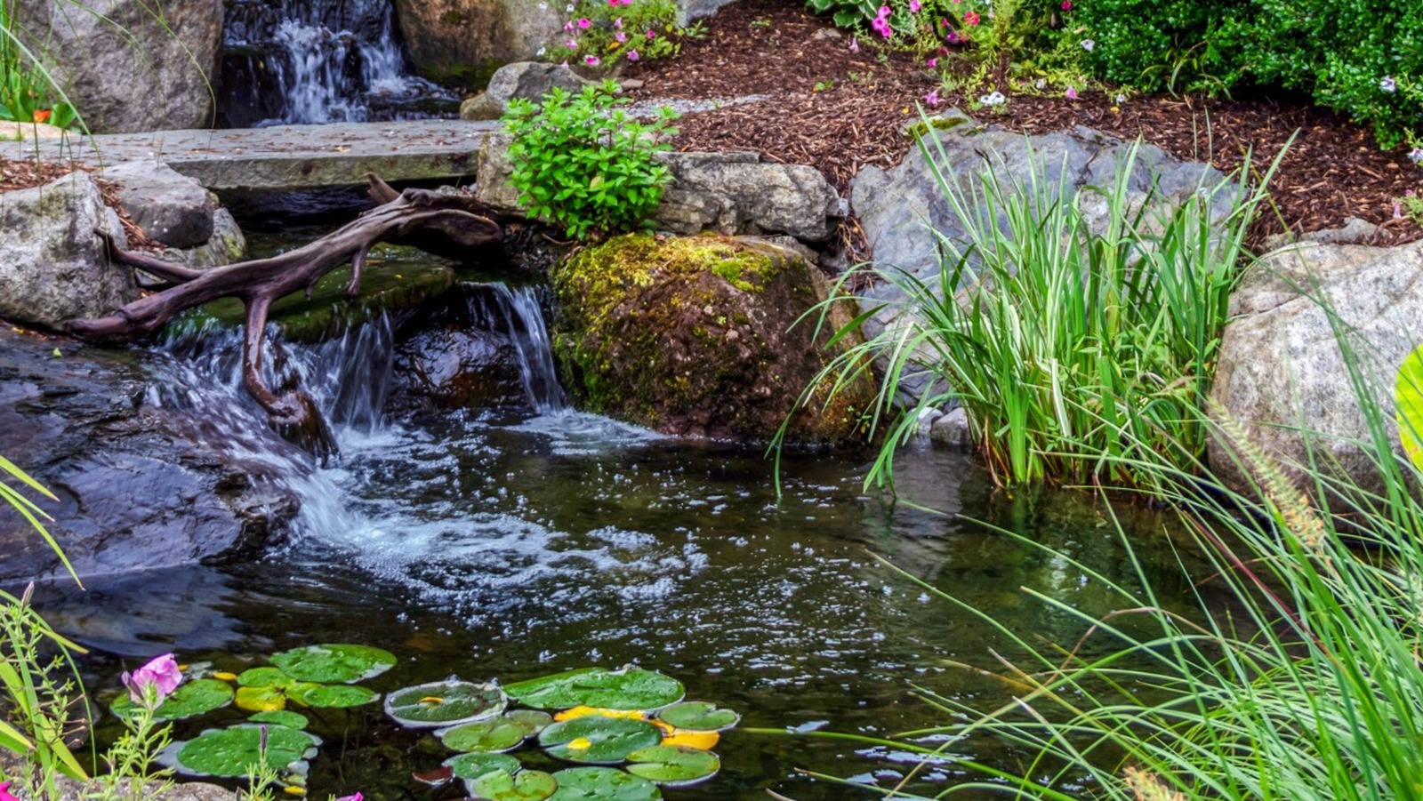 Create A Backyard River To Add Interest And Organic Water Movement To ...