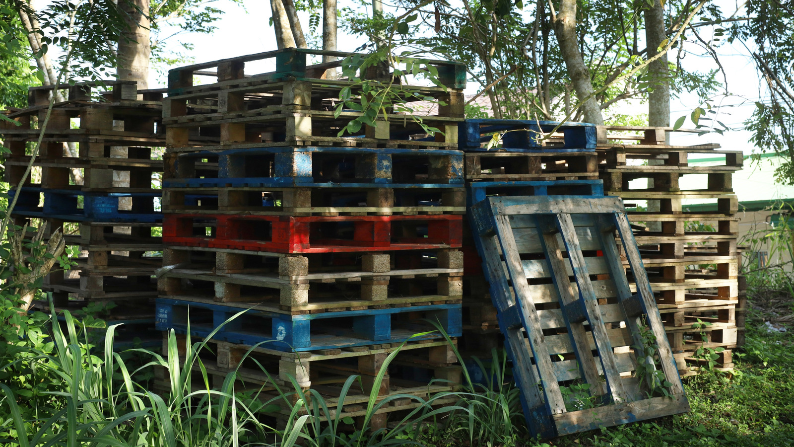 Create A Stunning Garden Wall Using Affordable Wood Pallets