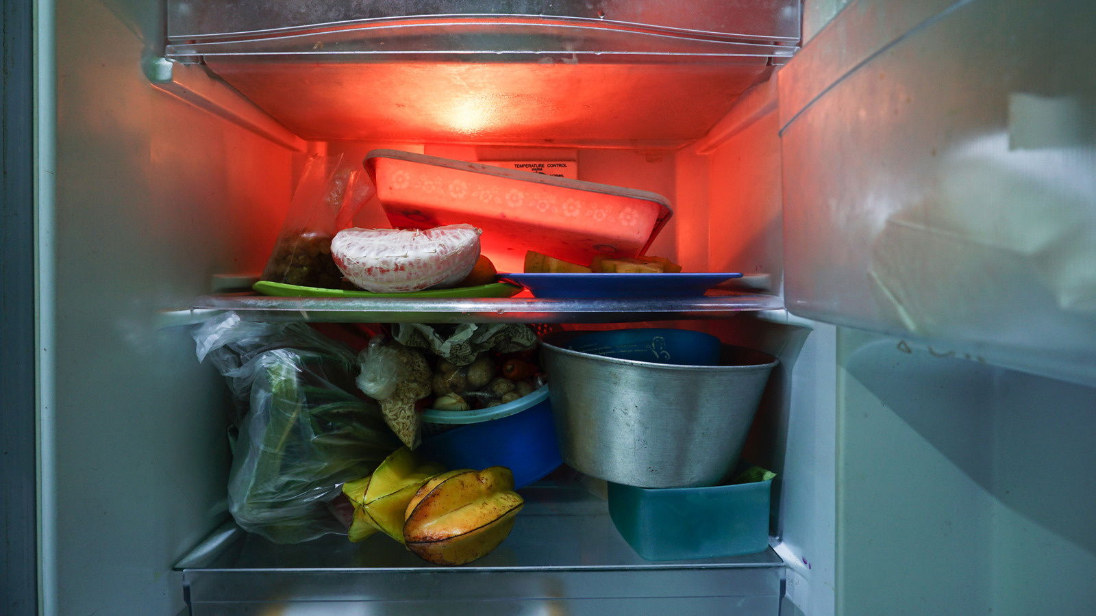 Create Extra Storage In A Cramped Fridge With A Budget-Friendly IKEA Item