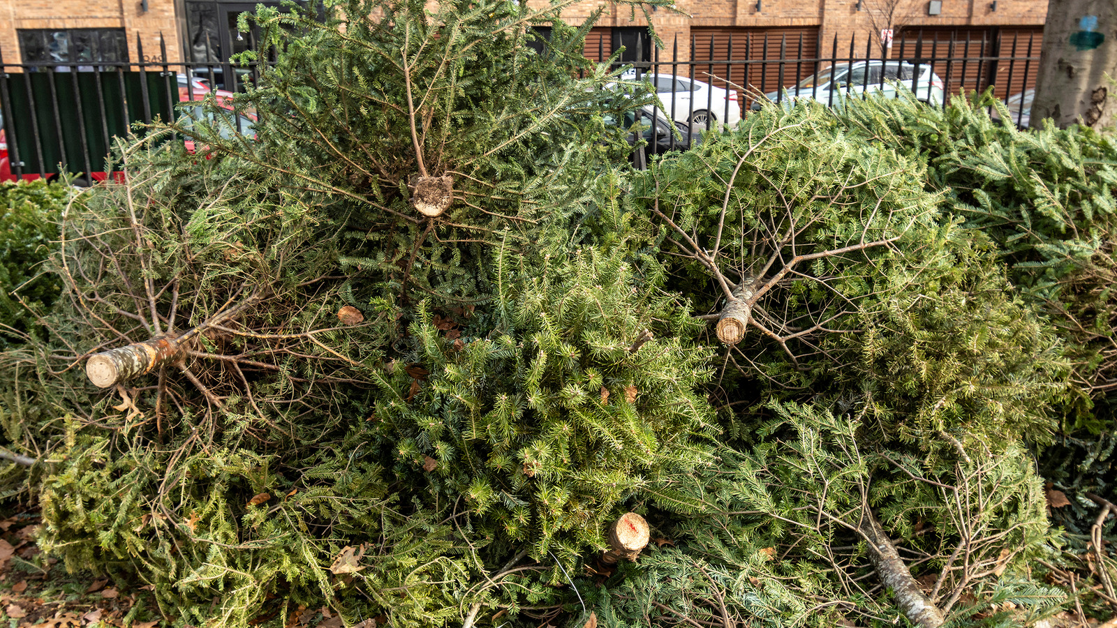 Creative And Eco-Friendly Ways To Recycle Your Christmas Tree