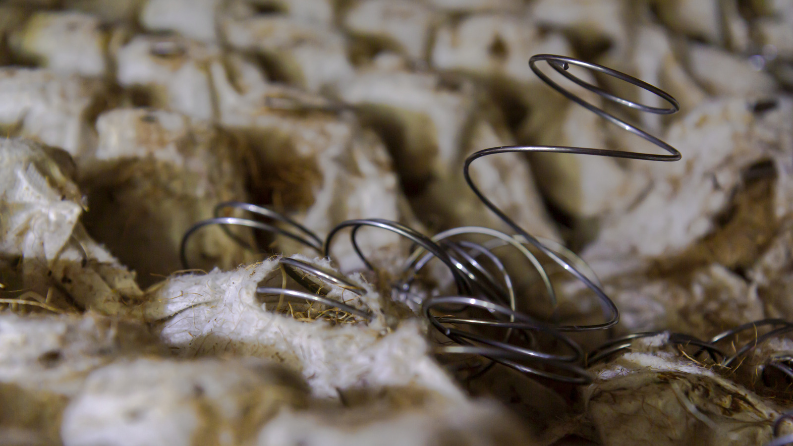 Creative Ways To Repurpose Old Bed Springs Around Your Home