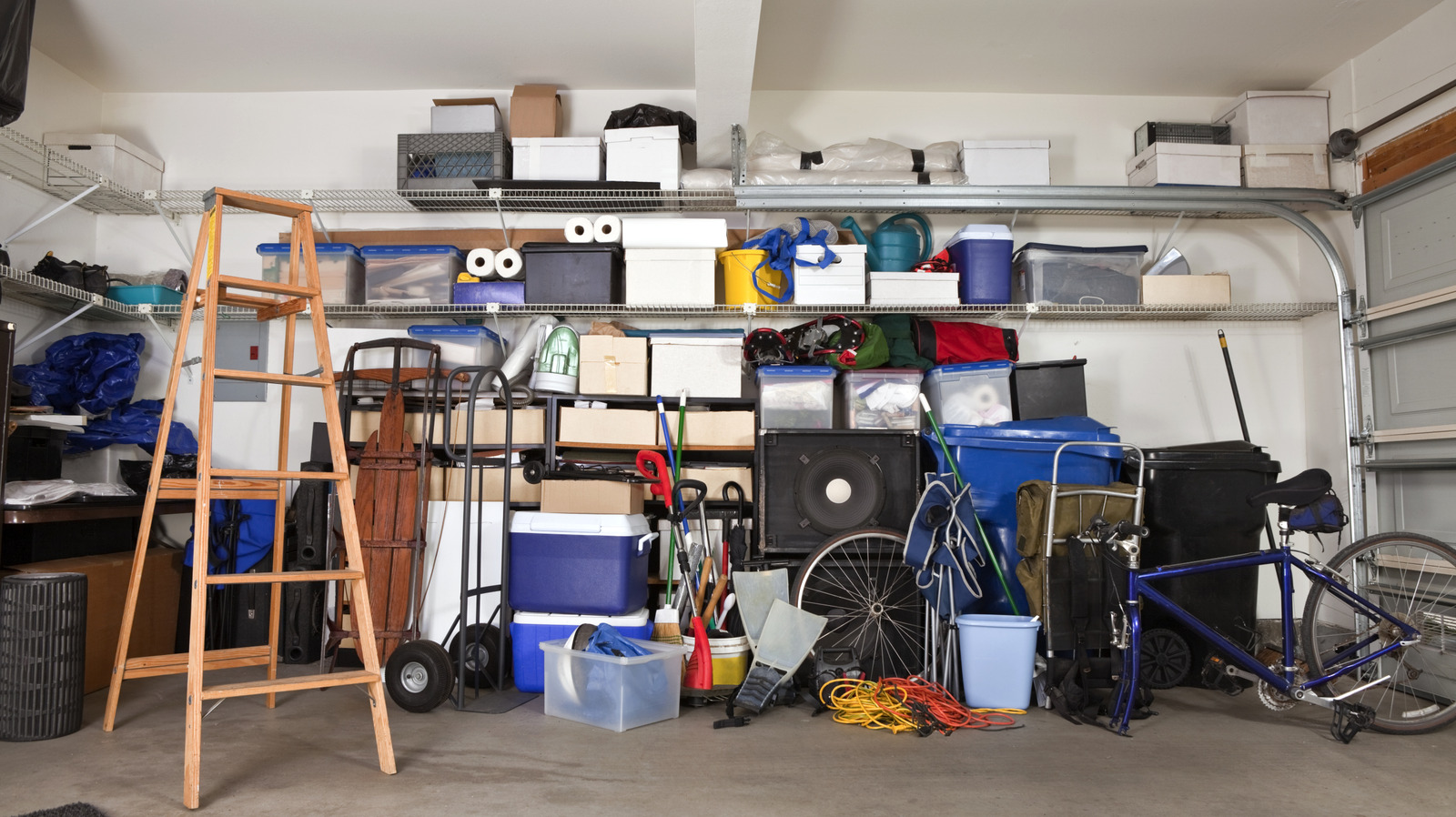 Declutter And Organize Your Garage With An Inexpensive Dollar Tree Must-Have