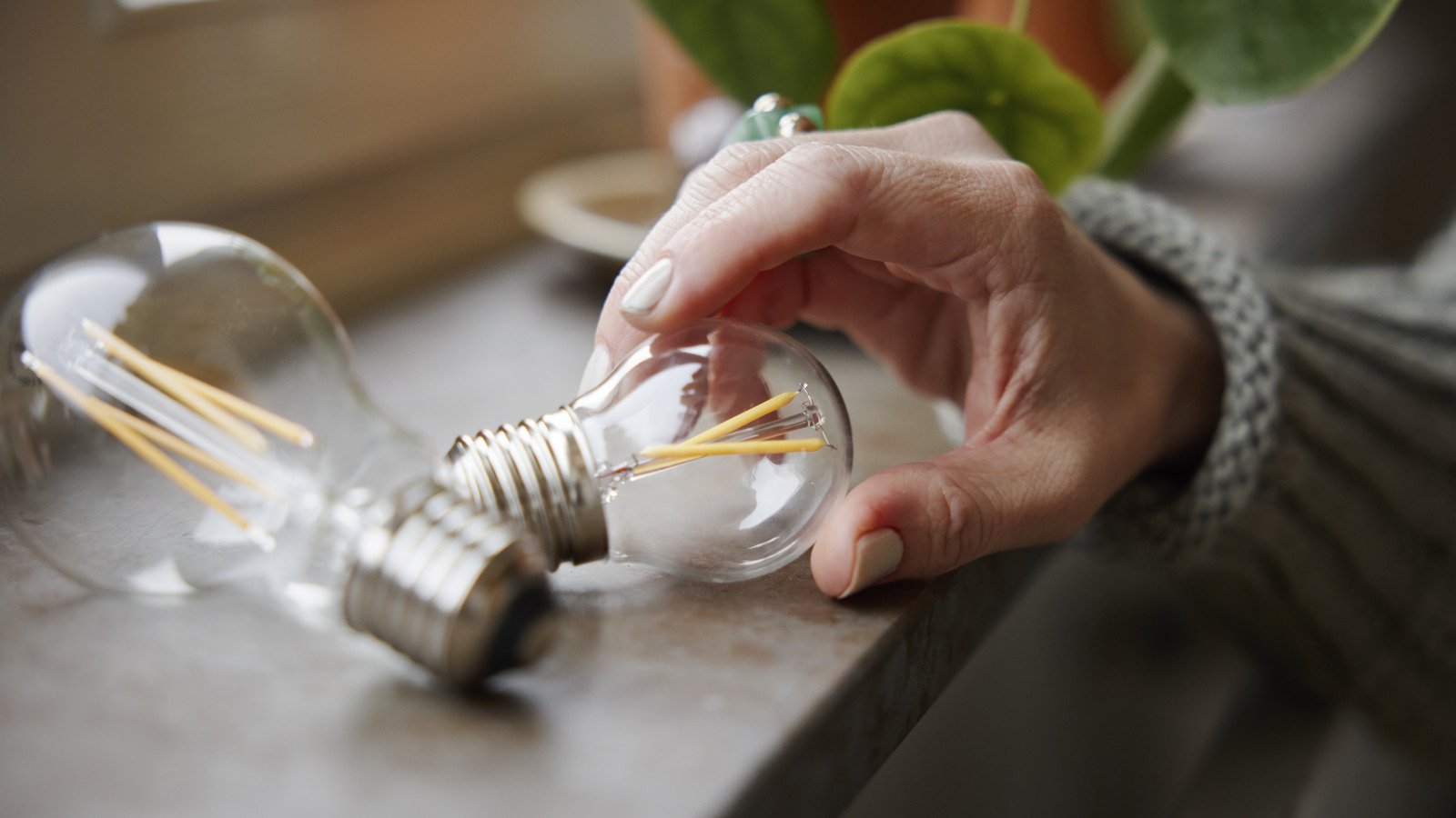 Ditch The Bulky Boxes And Store Your Lightbulbs Like This Instead