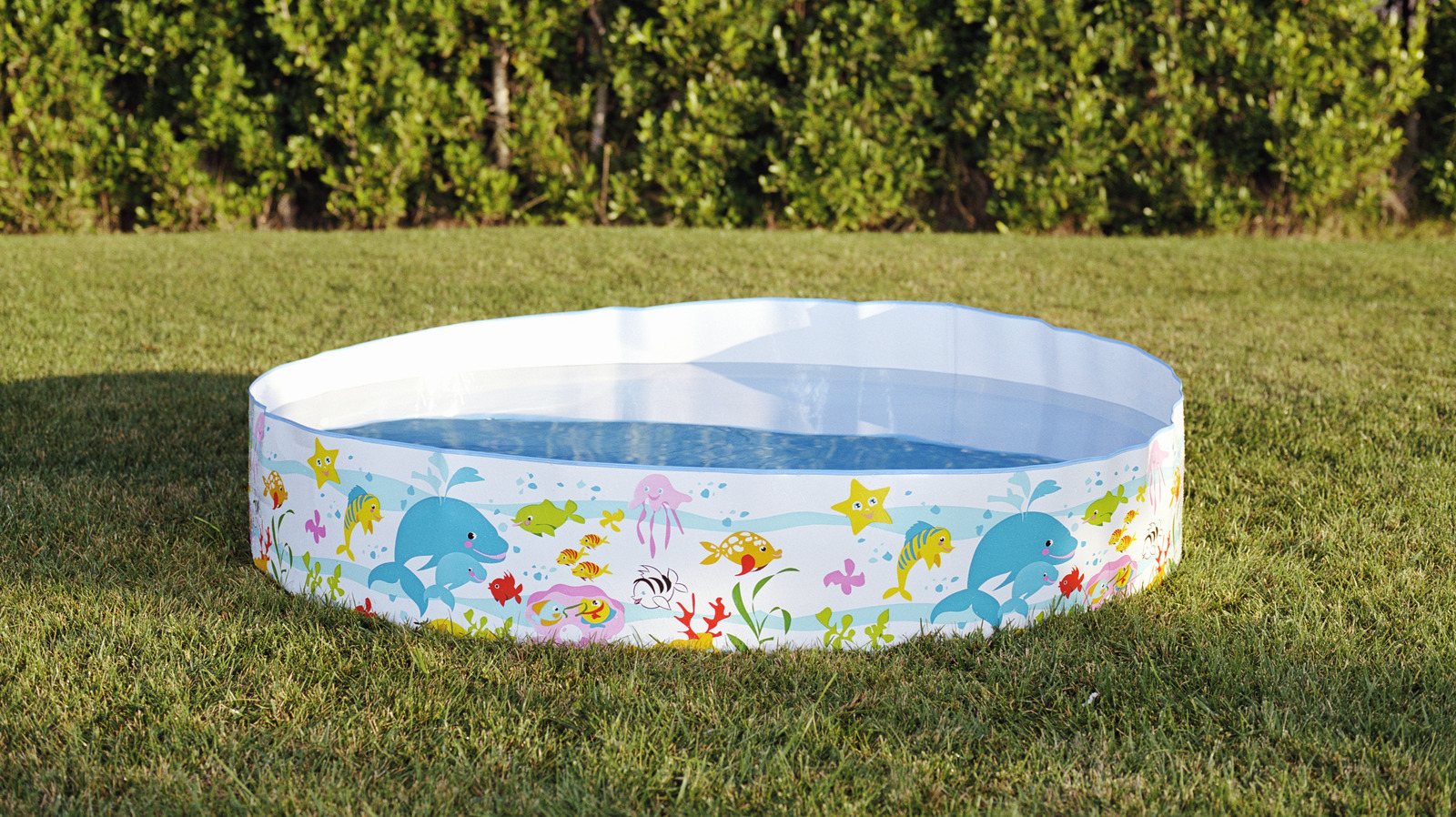 Diy Wading Pool Garden