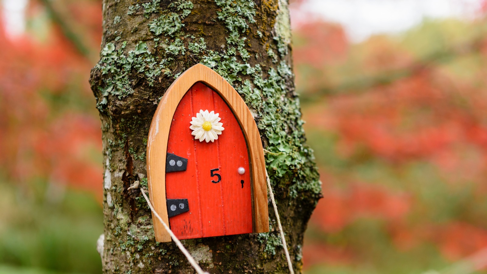 DIY A Whimsical Garden Fairy Door To Create A Magical Outdoor Summer Space