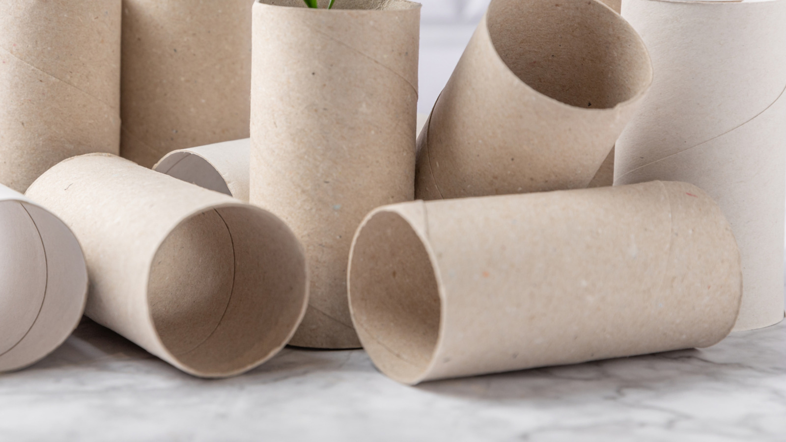 How To Upcycle Toilet Paper Tubes Into Adorable Mini Birdhouse Plant Stakes