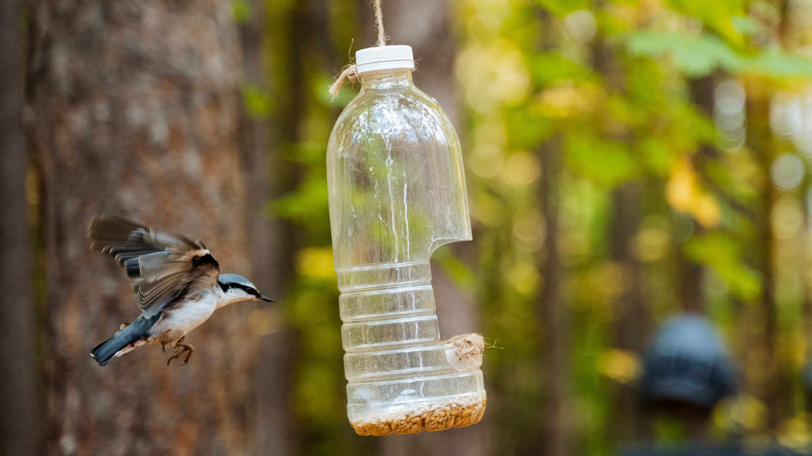 8 Bird Feeders & Baths You Can DIY From Old Plastic