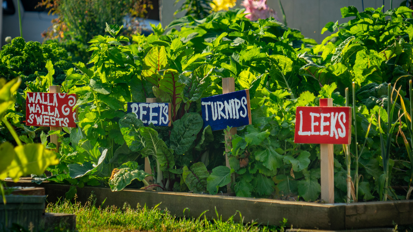 How To Make Garden Labels From Upcycled Items