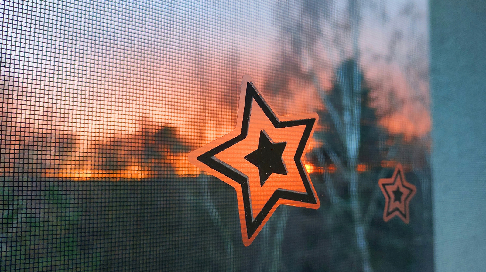 DIY Window Clings Make The Perfect Decor For Any Season