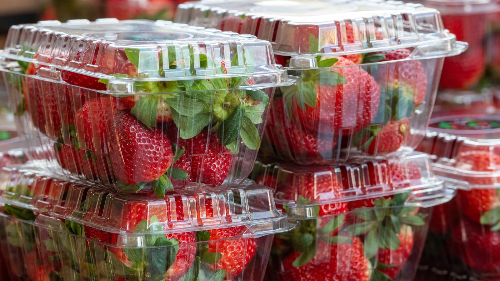 Do Strawberry Containers Make The Perfect Mini Greenhouses For Seedlings?