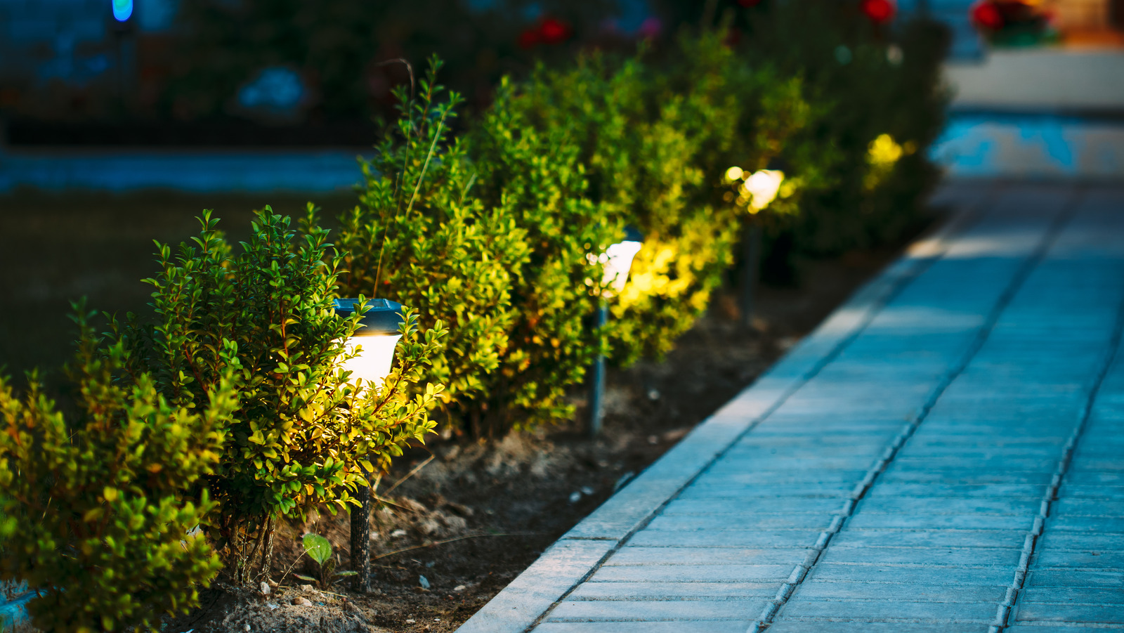 Dollar Tree Solar Lights Can Last Longer With This Simple Step