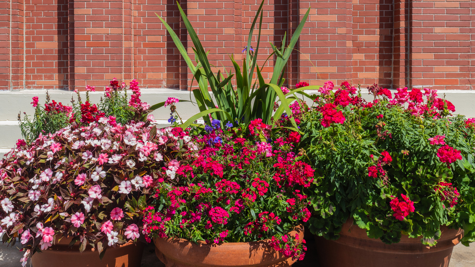 Easily Arrange Flowers In Large Planters With A Nursery Pot Tip