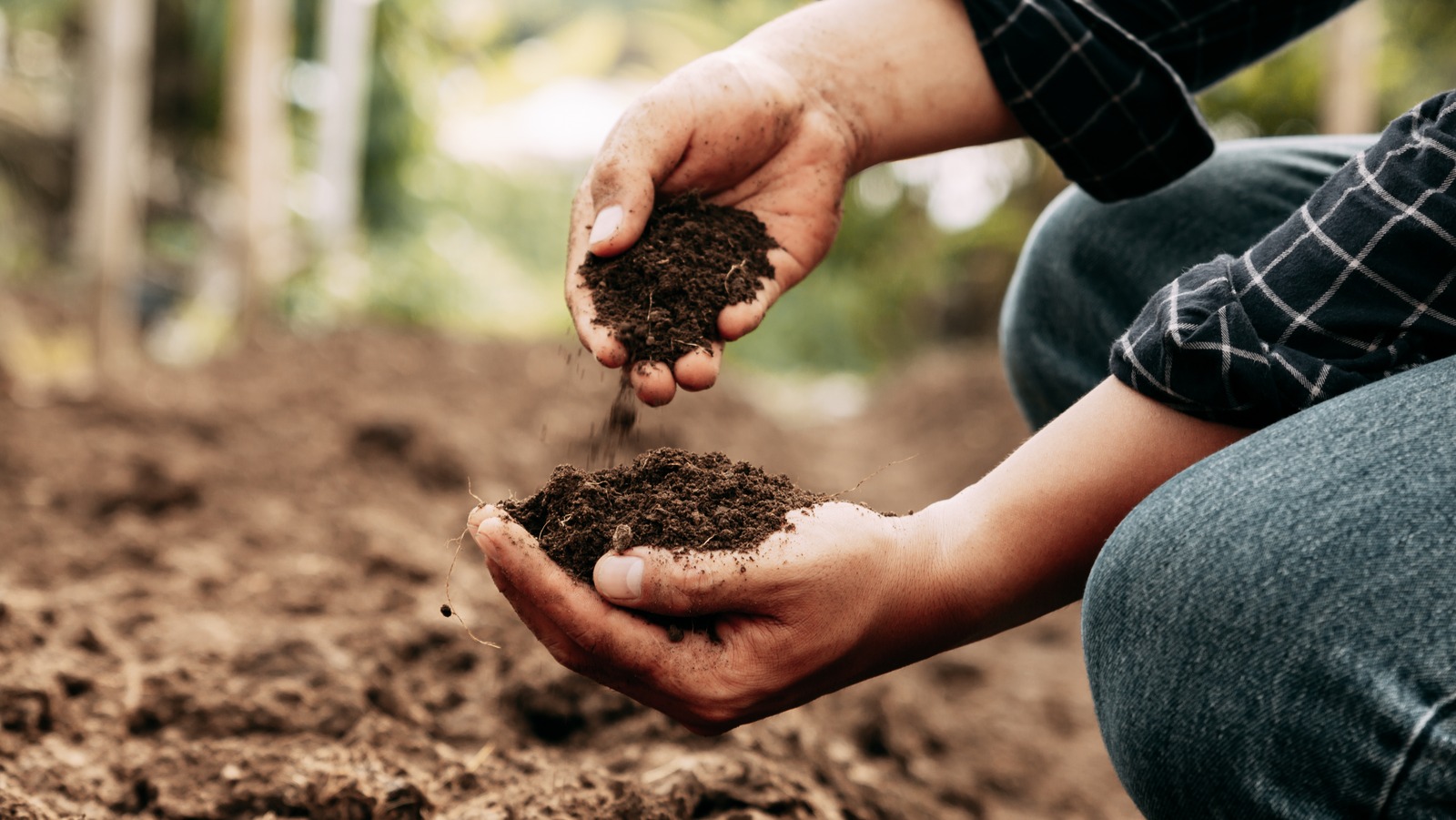 Easy Ways To Tell If Your Garden Soil Is Lacking In Nitrogen
