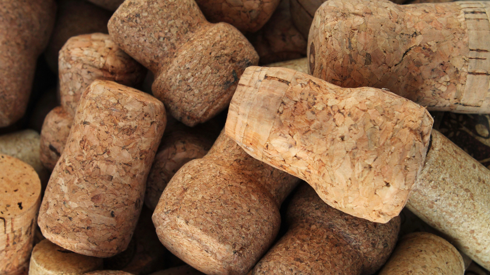 Elevate Your Plant Pots With A Simple Cork Hack