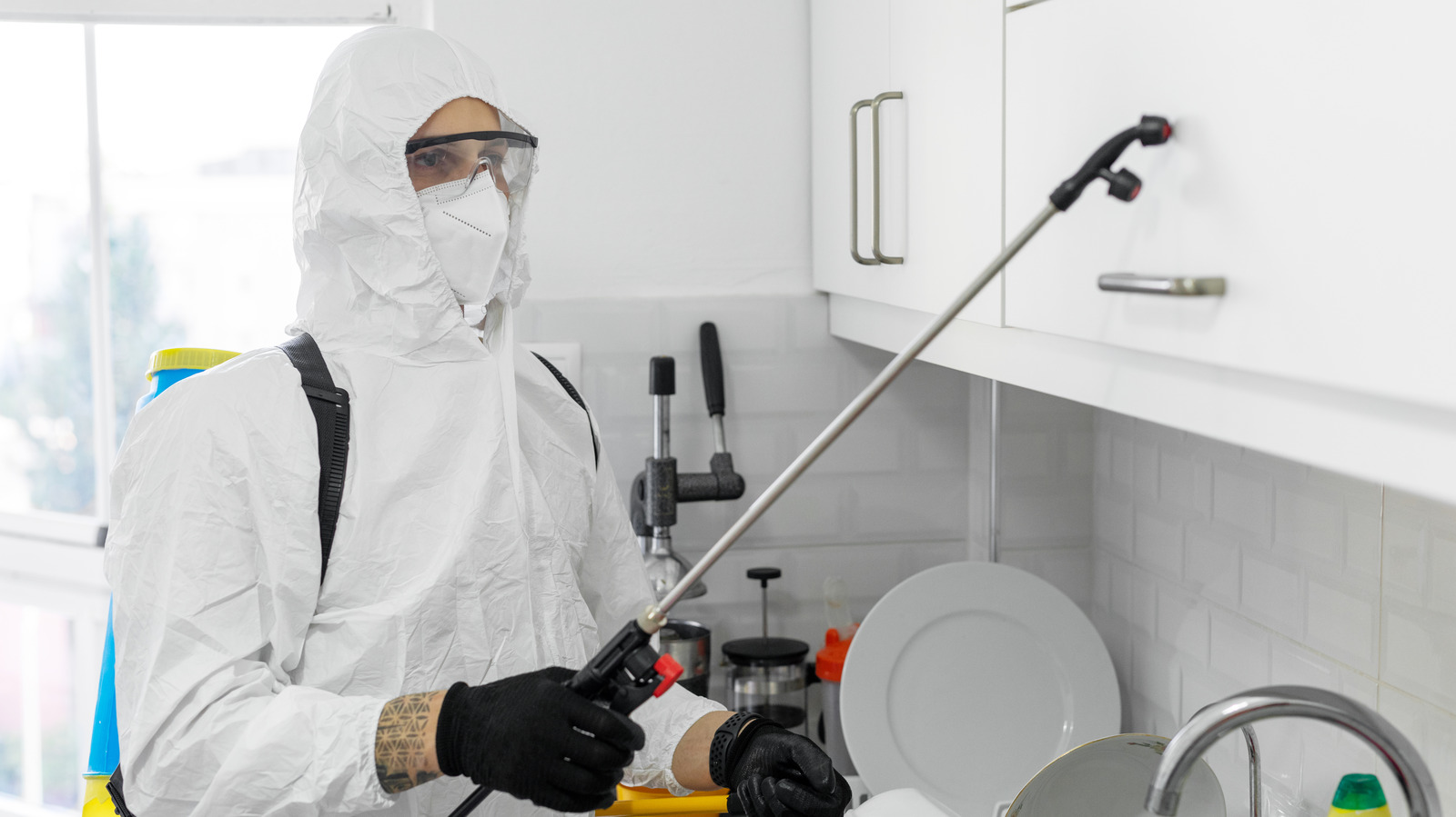 Everything Pest Control Companies Don't Want You To Know