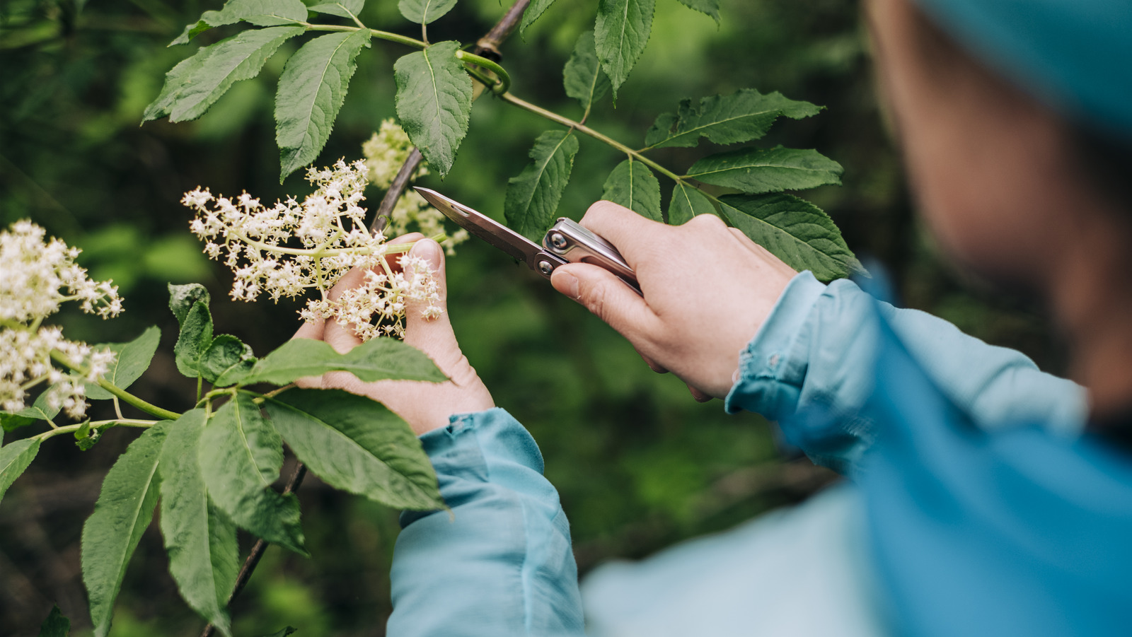 Explore Your Creative Side With The Basics Of Japanese Flower Arranging