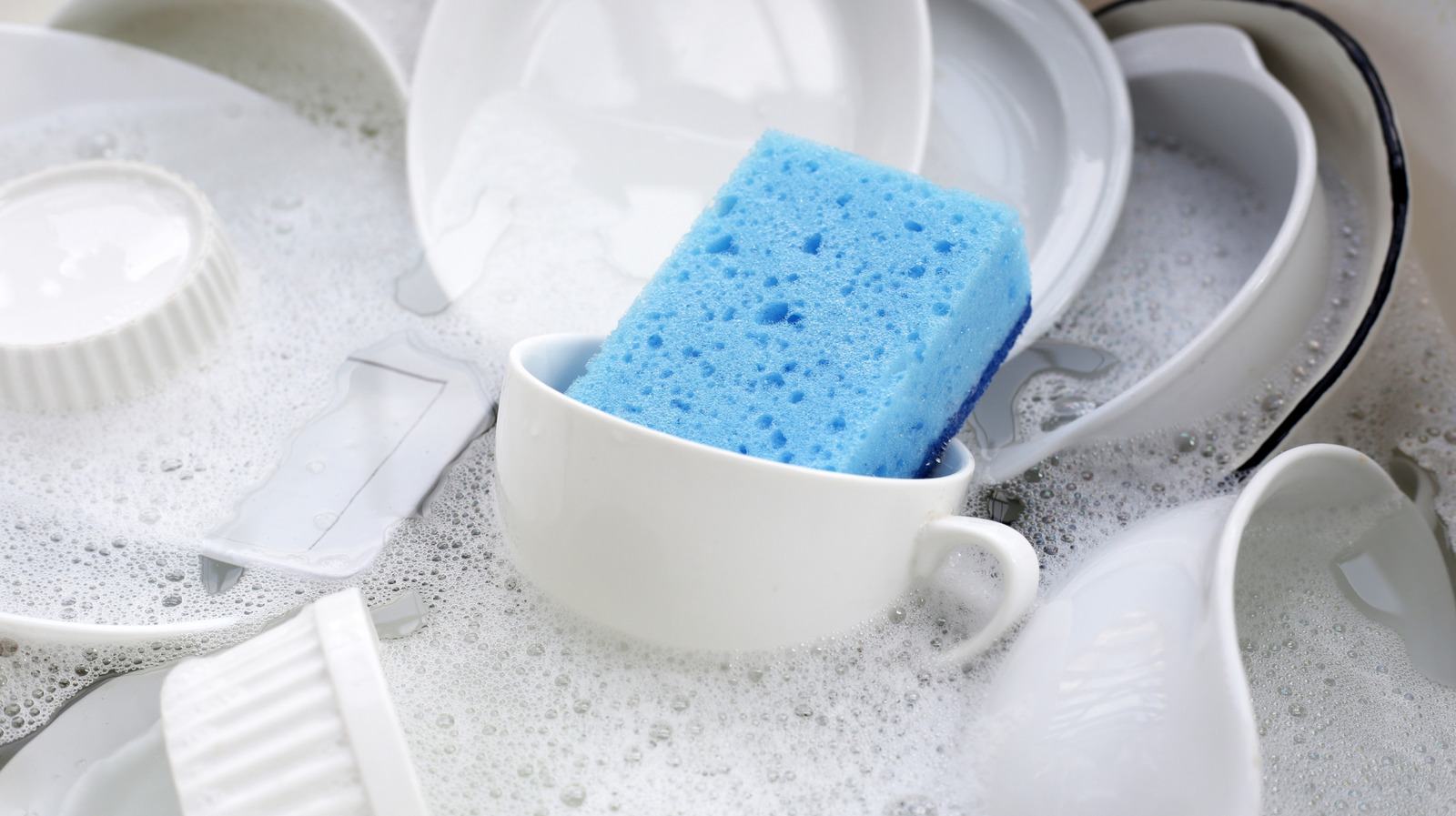For A More Bacteria-Resistant Kitchen Sponge, These Are The Materials ...