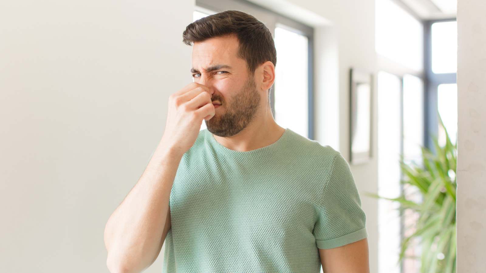 Get Rid Of Smoke Smells In Your New Home With These Tips