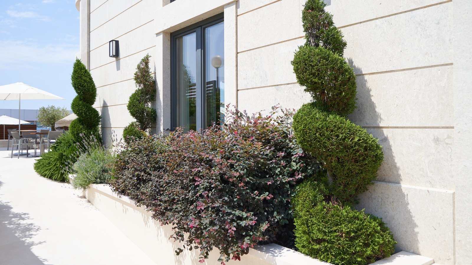 Get The Look Of A Pottery Barn Topiary Tree For Less With This Pool ...