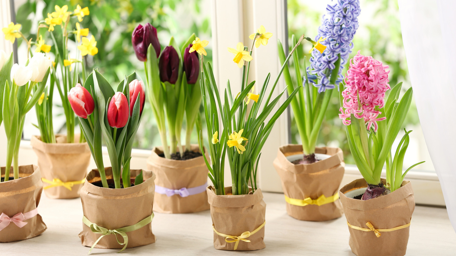 Get Your Home Ready For Spring With These Beautiful Easter Flowers