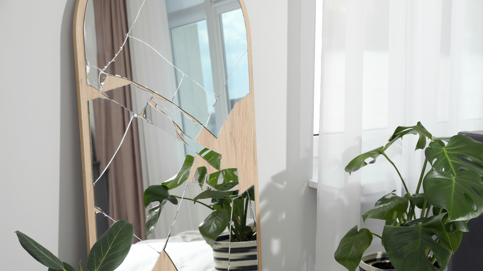 Give Your Broken Mirror New Life With A Forest-Inspired Upcycle Project