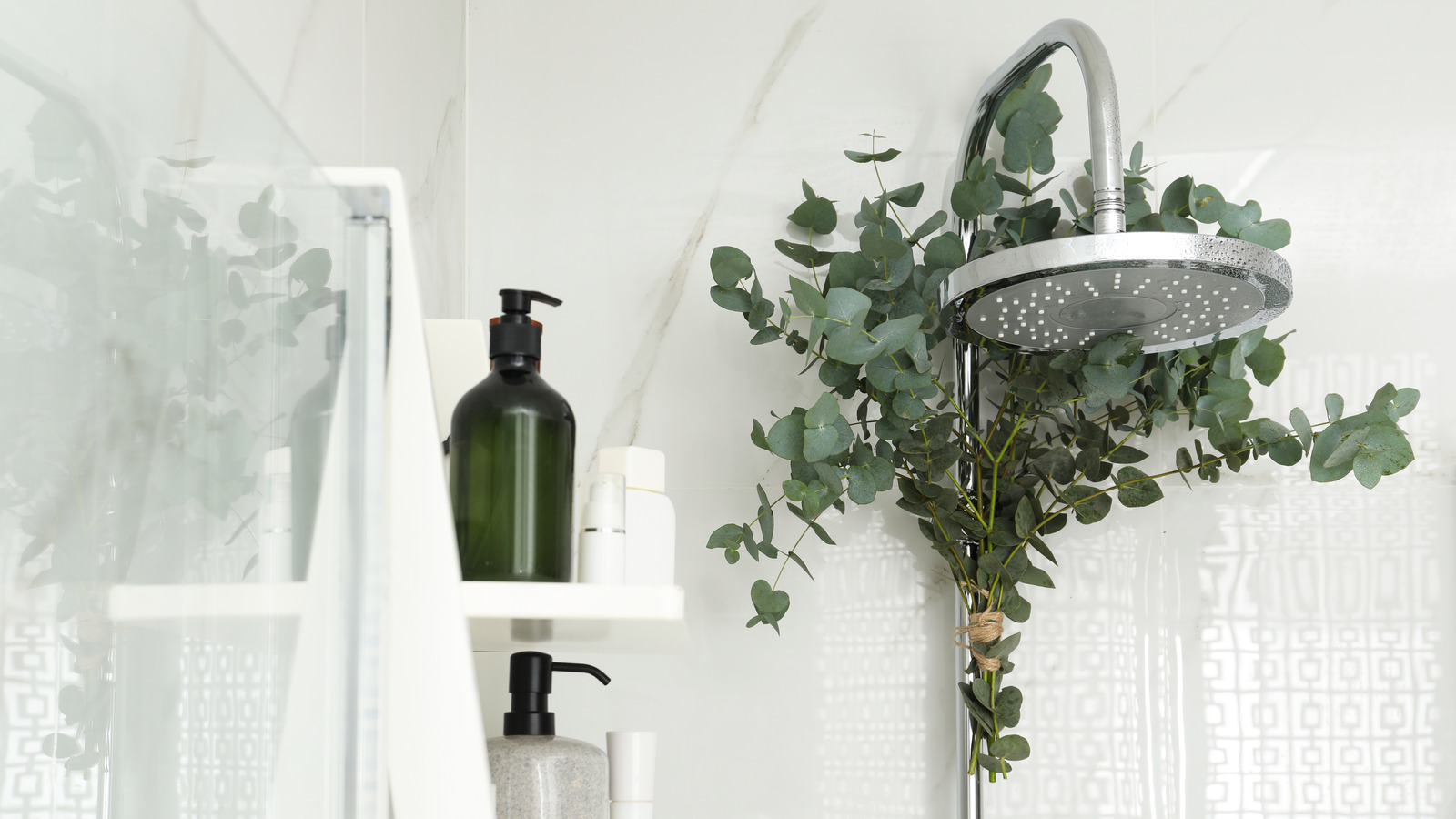 Hang This Plant In Your Shower For An Aesthetically Pleasing Natural ...