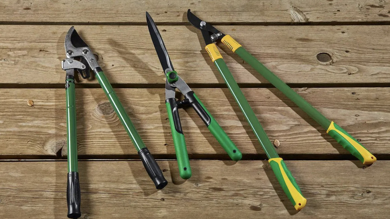 Harbor Freight Pruning Tools That Make Branch Cutting A Breeze