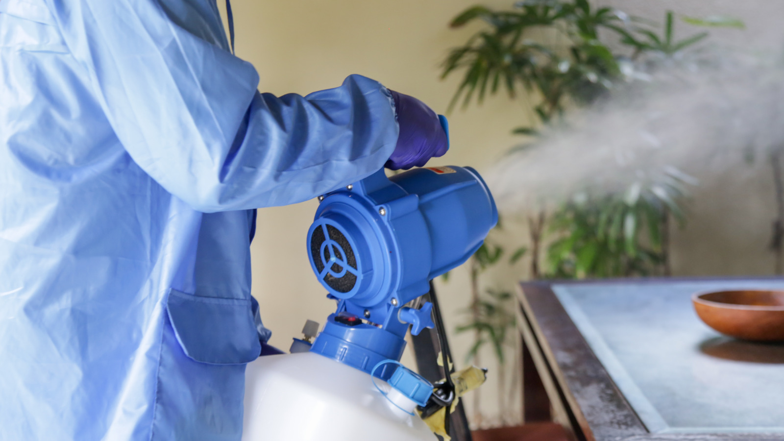 Here's How Much You Can Expect To Pay When Fumigating Your Home