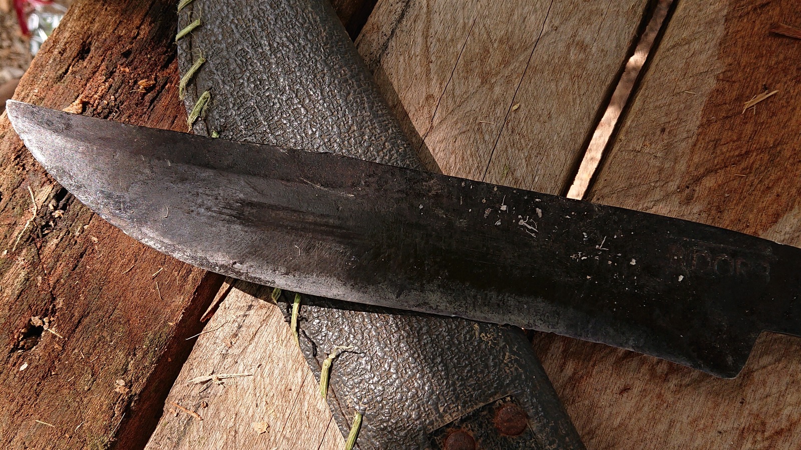 Here's How To Sharpen Your Machete's Dull Blade For Precise Gardening Cuts