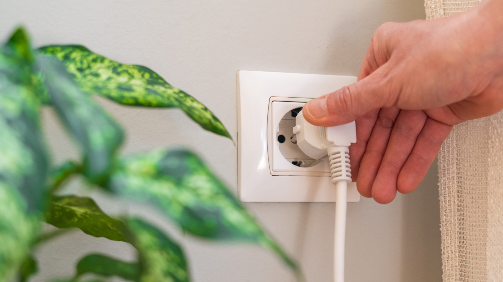 Here's Why European Appliances Aren't Compatible With U.S. Outlets