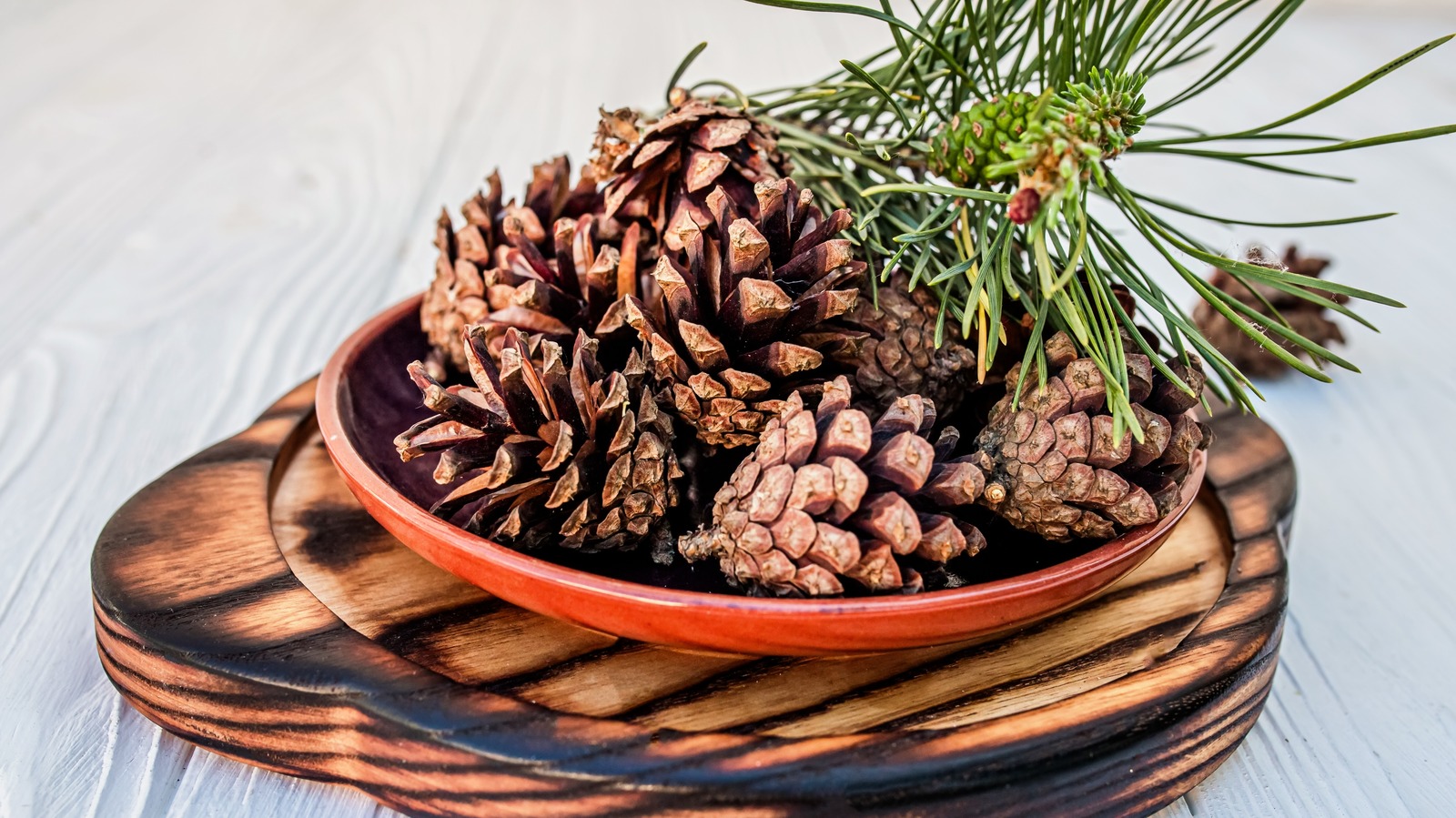 Here's Why You Should Bake Your Pinecones Before Decorating With Them