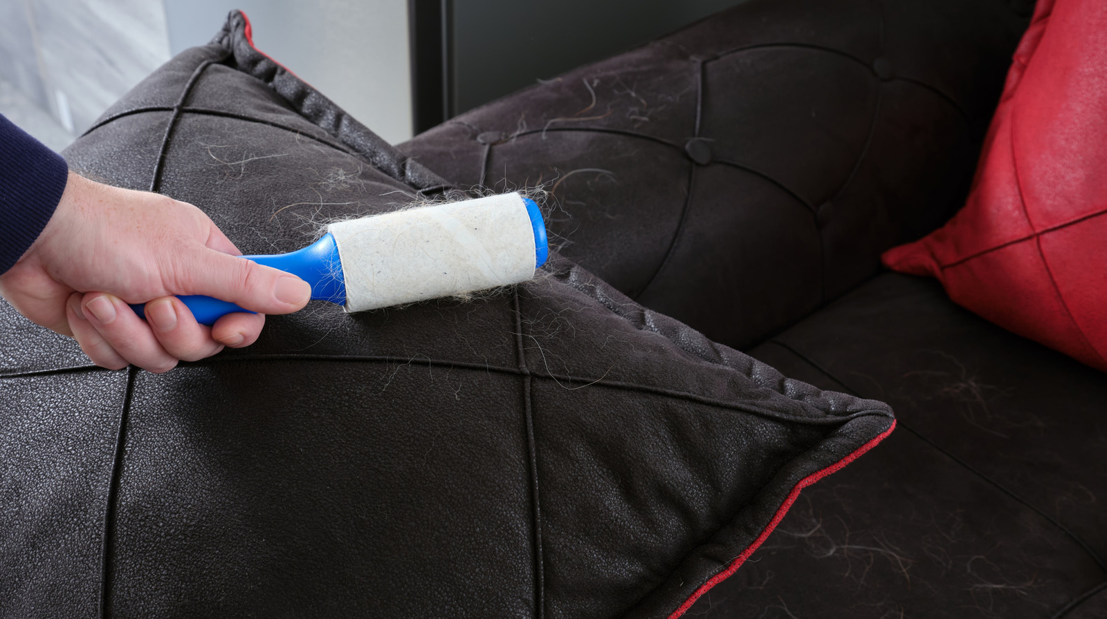 How Long Can You Expect Costco Lint Rollers To Last?