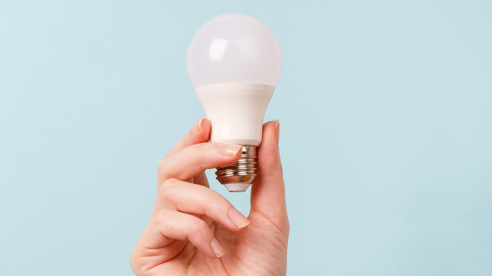 How To Choose A Light Bulb Color That Will Make Your Paint Colors Shine