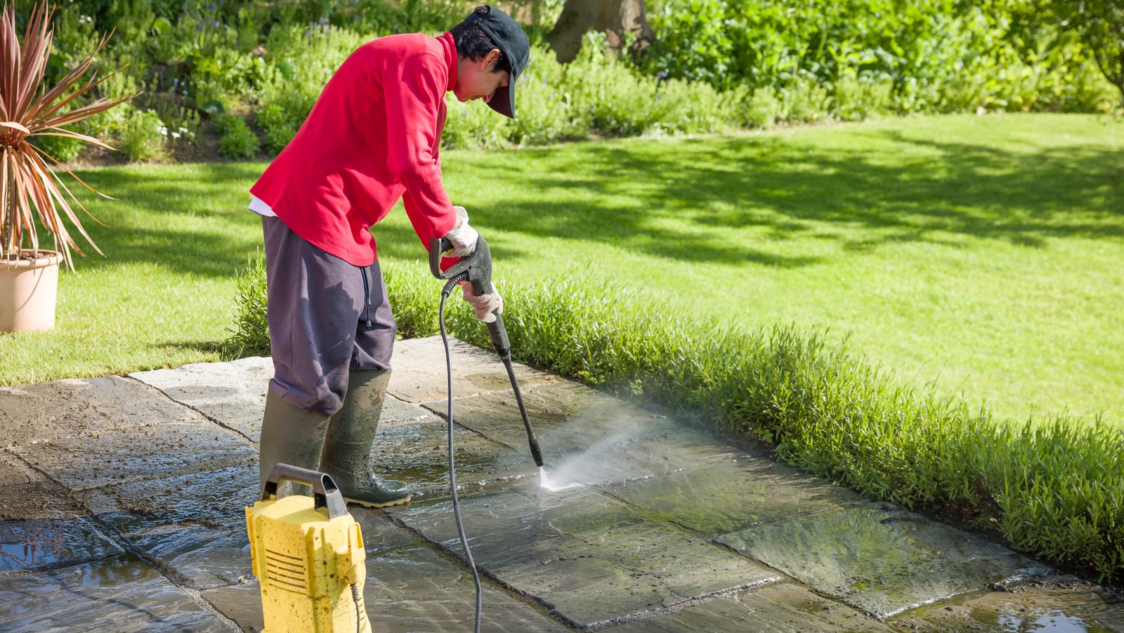 How To Clean A Backyard