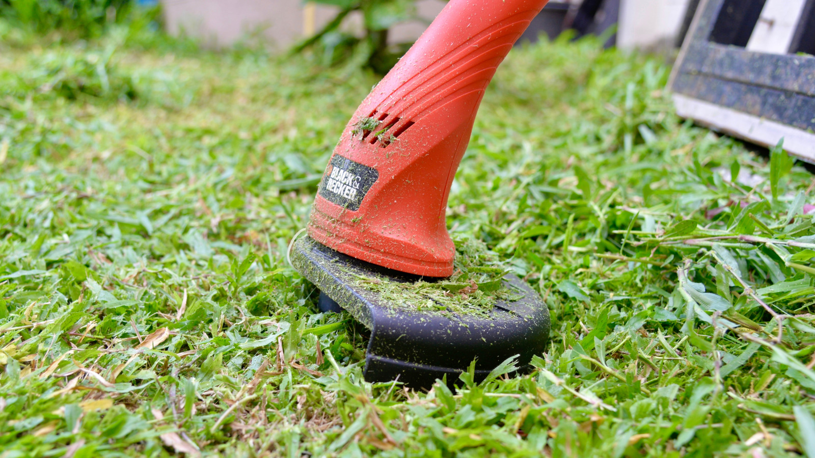 How To Clean And Maintain Your Black + Decker Weed Eater