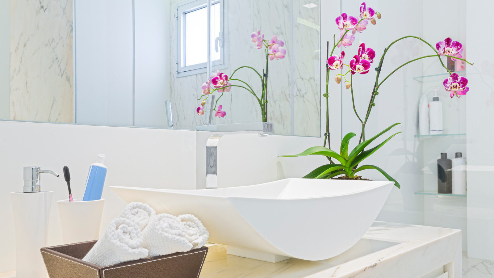 How To Feng Shui Your Bathroom How To Feng Shui Your Bathroom