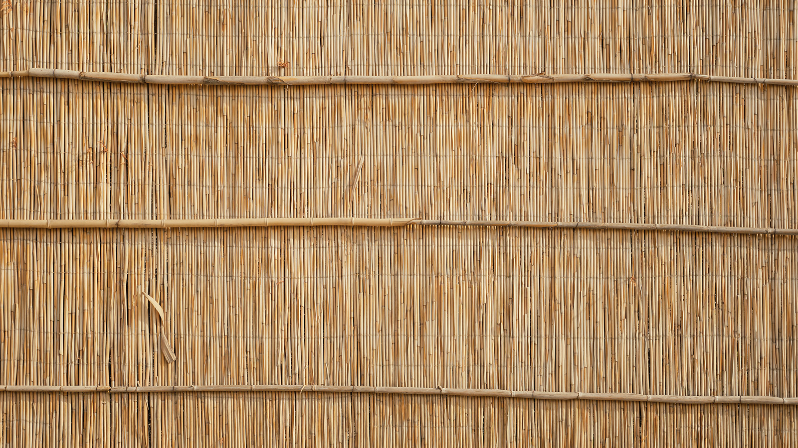 How To Maintain Reed Fencing (And Common Care Mistakes To Avoid)