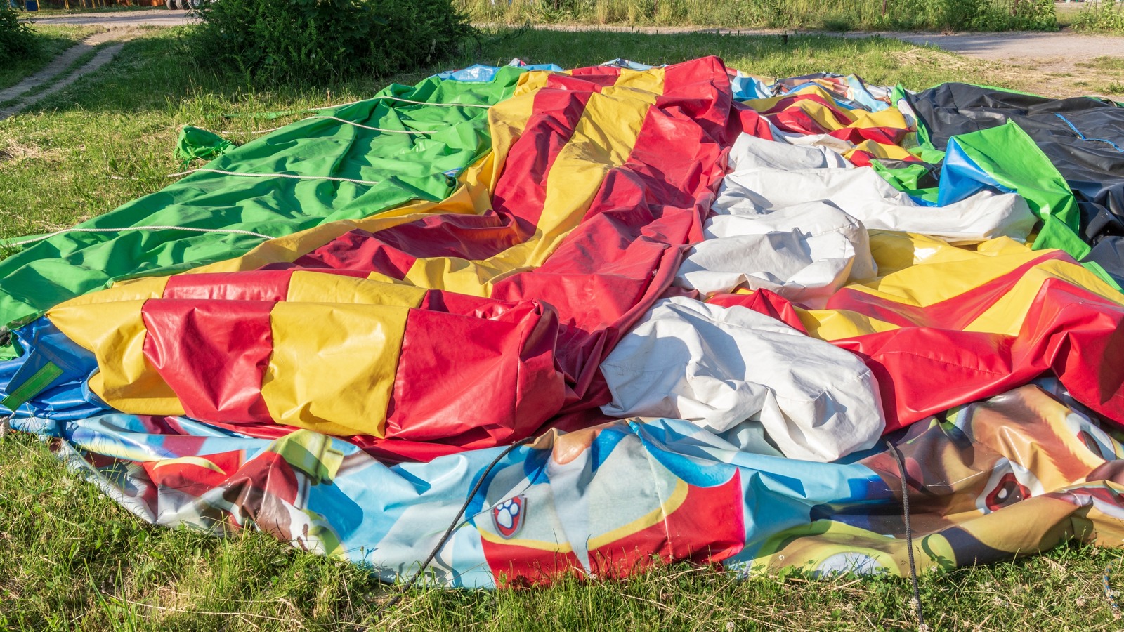 How To Make Your Grass Bounce Back After Using Inflatables This Summer