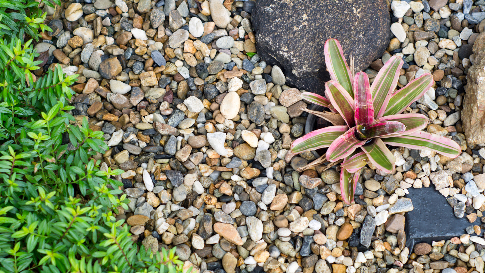 How To Pick The Perfect Pea Gravel Color For Your Landscaping