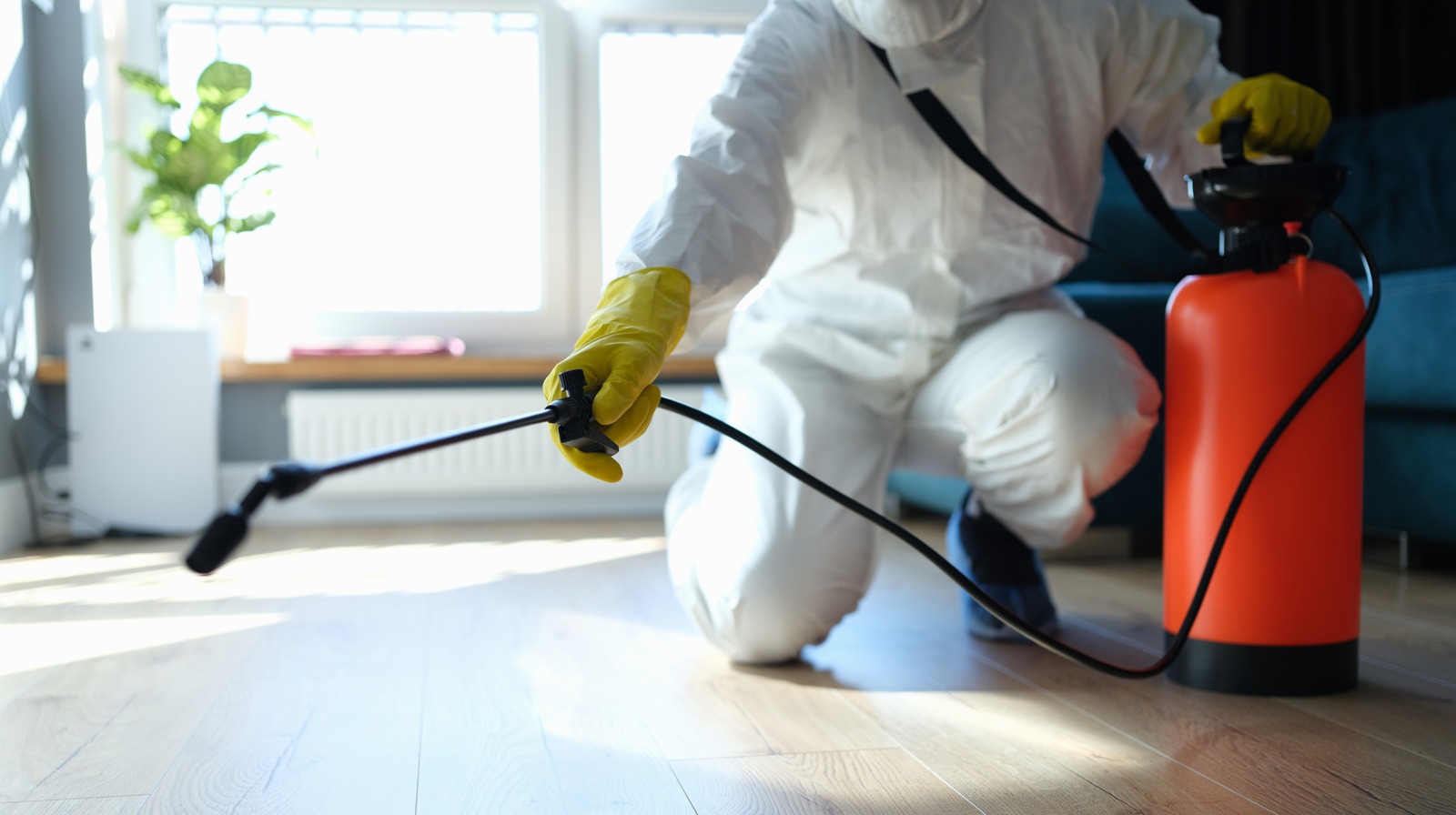 How To Prepare For A Pest Control Treatment (And Why It's So Important)