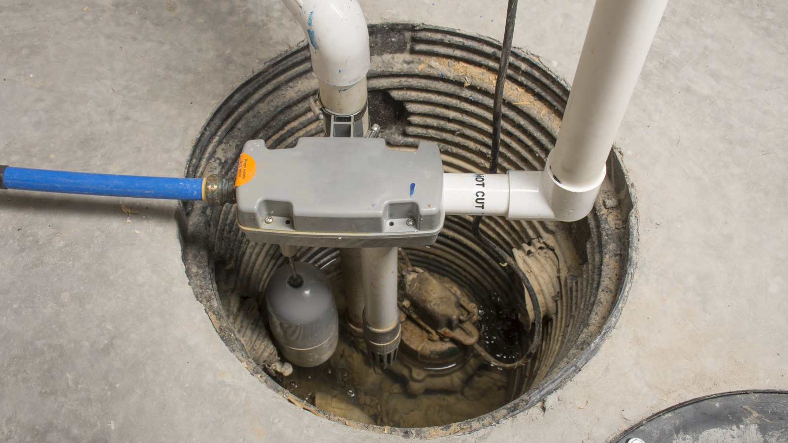 How To Prevent Drain Flies In Your Sump Pump