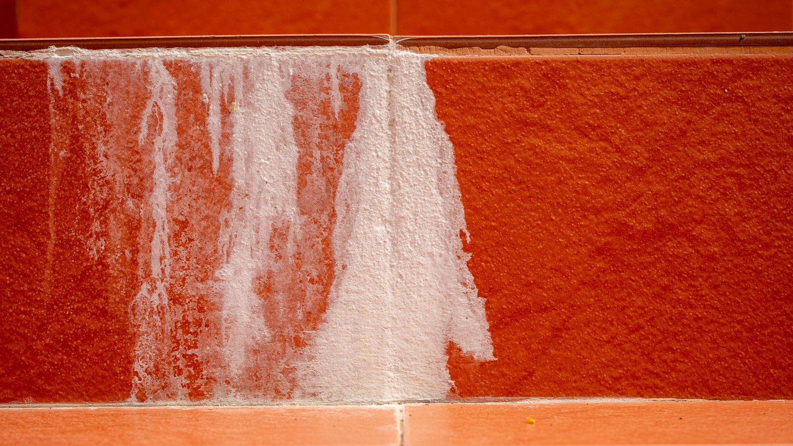 How To Prevent Efflorescence Before It Leads To Unsightly Mold Growth