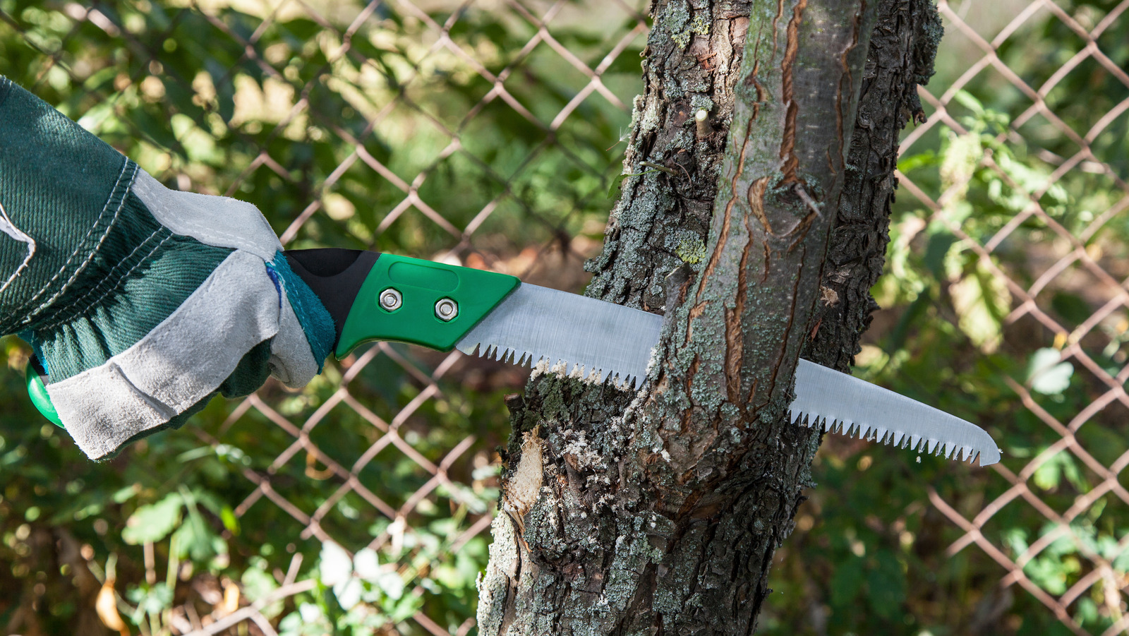 How To Safely Sharpen Your Pruning Saw For A Cleaner Cut (& Mistakes To Avoid)