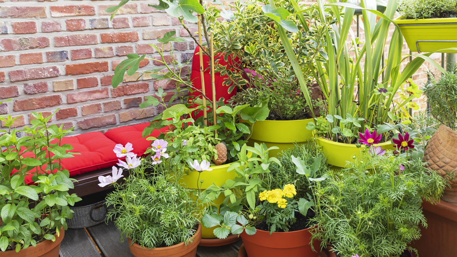 How To Spruce Up Fading Summer Container Gardens With Low Effort & Expense