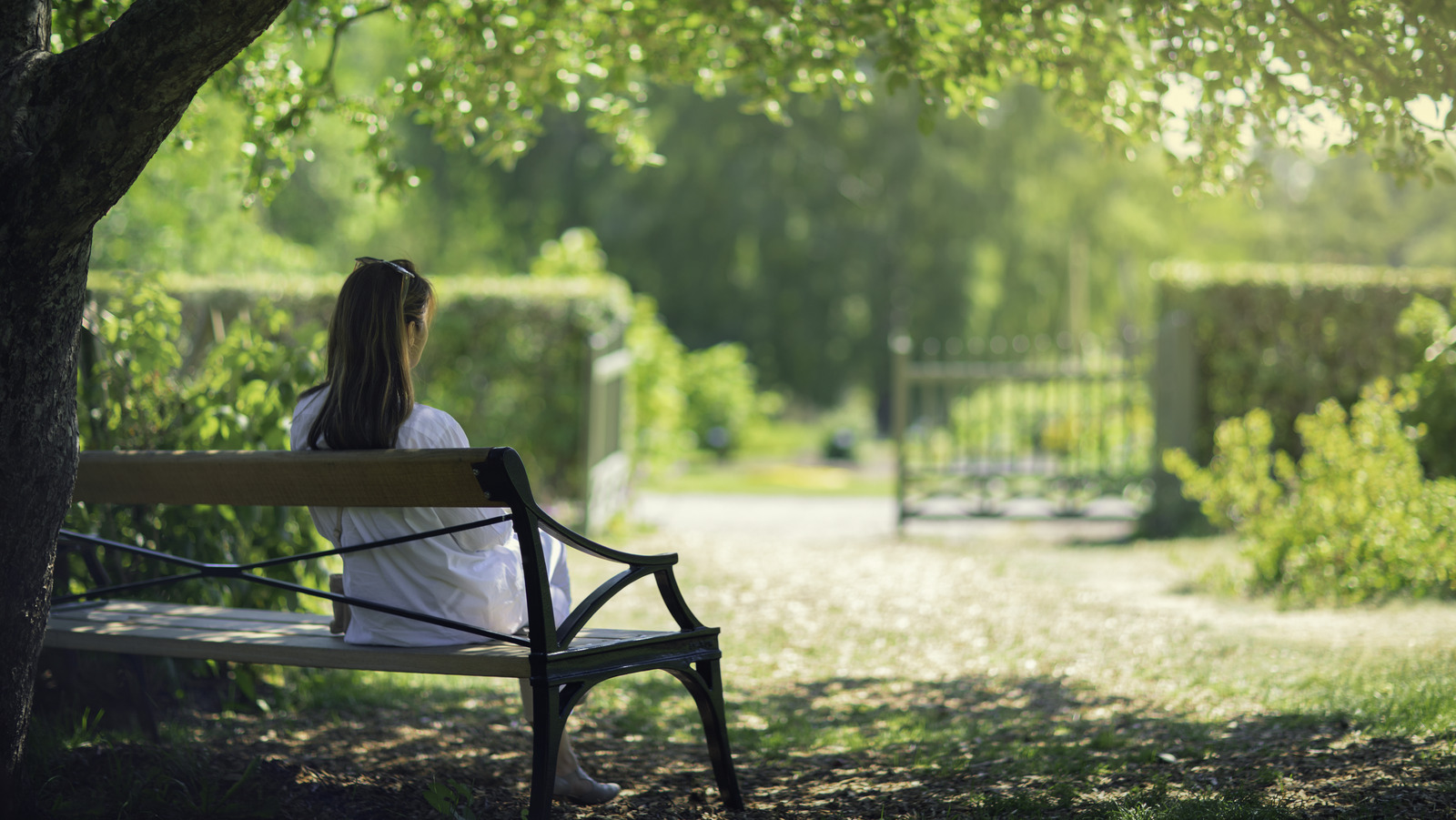 How To Tell If Your Lawn Is Getting Too Much Shade